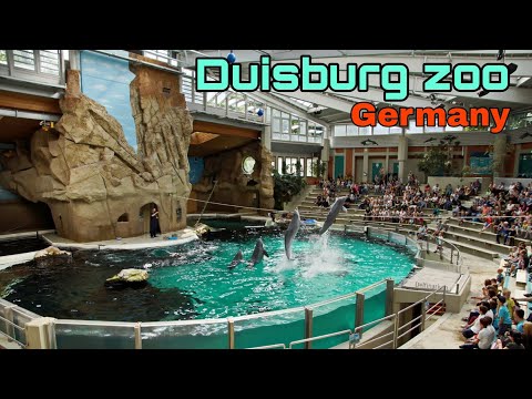 Duisburg zoo, Germany | Dolphin show