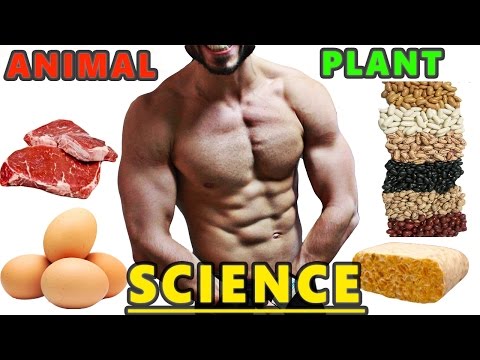ANIMAL PROTEIN VS PLANT PROTEIN- For Muscle and Health (THE SCIENCE )