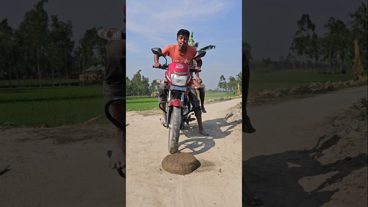 Dung in the middle of the road