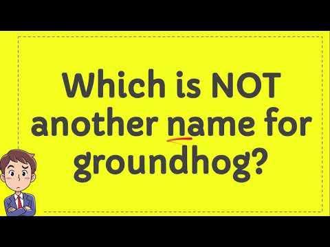 Which is NOT another name for groundhog?