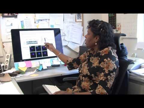 Increasing drug delivery through the blood-brain barrier