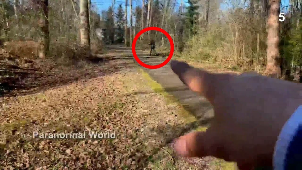 5 Mothman evil bird sighting - Paranormal TOP 5