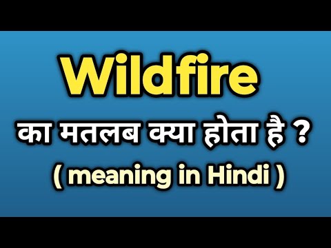 Wildfire Meaning in Hindi || Wildfire Ka Kya Matlab Hota Hai | Words Tube