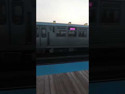 Cta train #train #cta