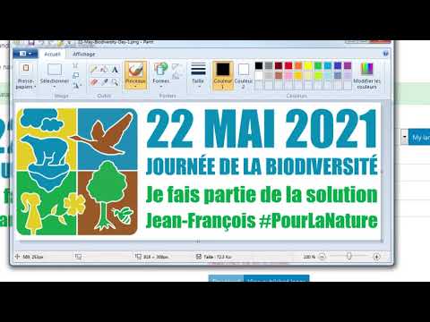 Biodiversity Day logo customization tool