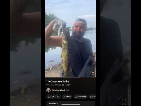 Fisherman fearlessly thumbs pickerel #fishing #fish #pickerel #pike #bassfishing