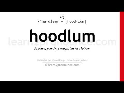 hoodlum pronunciation and definition