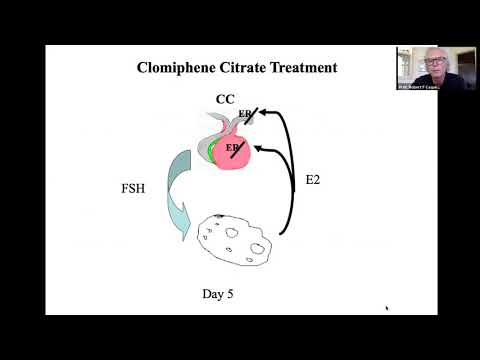Letrozole and hMG for non ICSI stimulation