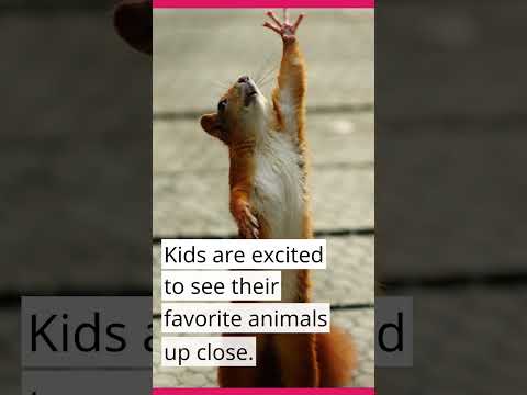 English For Everyone: Vocabulary - At The Zoo #english # #englishforkids #englishvocabulary