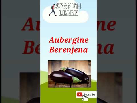 Aubergine Vegetable Spanish language Vocabulary
