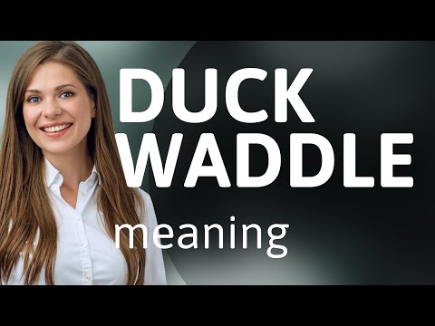 English Idioms Explained: Duck Waddle