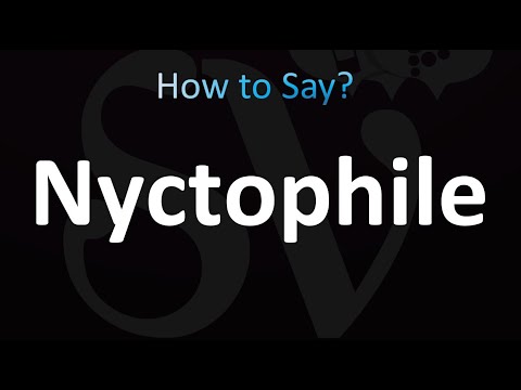 How to Pronounce Nyctophile (correctly!)