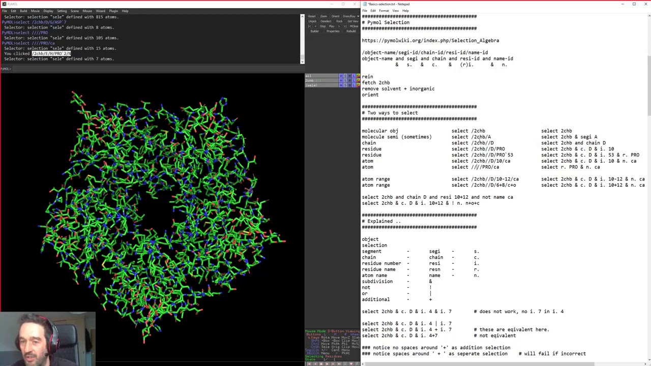 PyMOL tutorial 2 : Making selections and using commands