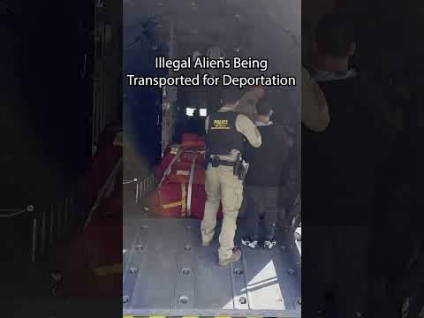 Illegal Alien Expulsion (Deportation) Flights | CBP