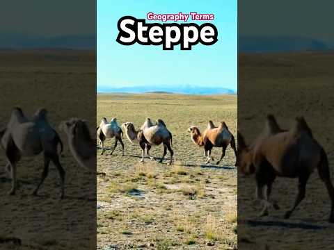 Steppe Explained - #geography