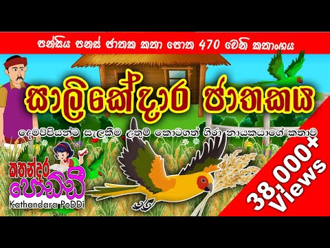 Salikedara Jathakaya I සාලිකේදාර ජාතකය I Jathaka katha I Bedtime stories l sinhala cartoon