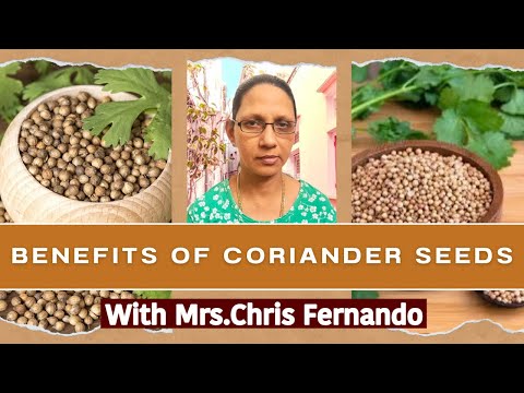 Benefits and properties of coriander | coriander | fragrant | culinary | herb | leaves | benefits |