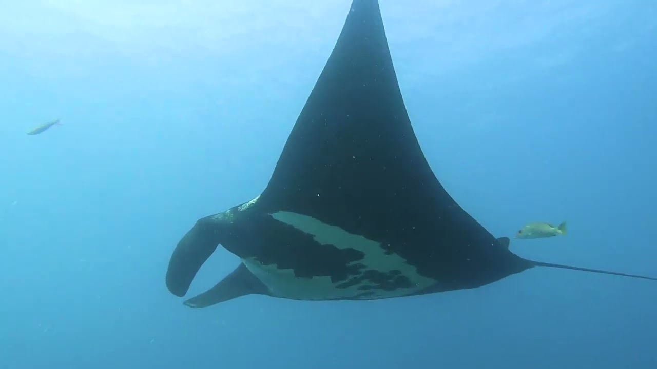 FINAL GALLERY OCEAN VIDEO 2 - LAURA