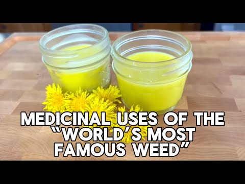 Dandelion - Powerful Medicinal "Weed"| Health Benefits, Uses, & Recipes