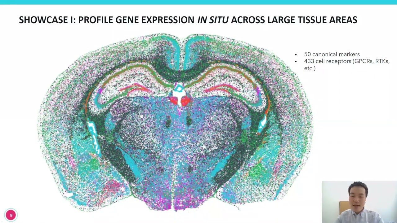 Illuminating Biology with Spatially Resolved, Single cell Transcriptomics