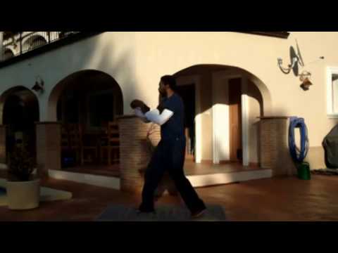 Wing Chun - Free form