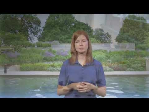 Water Quality Video Series: What is Nonpoint Source Pollution?