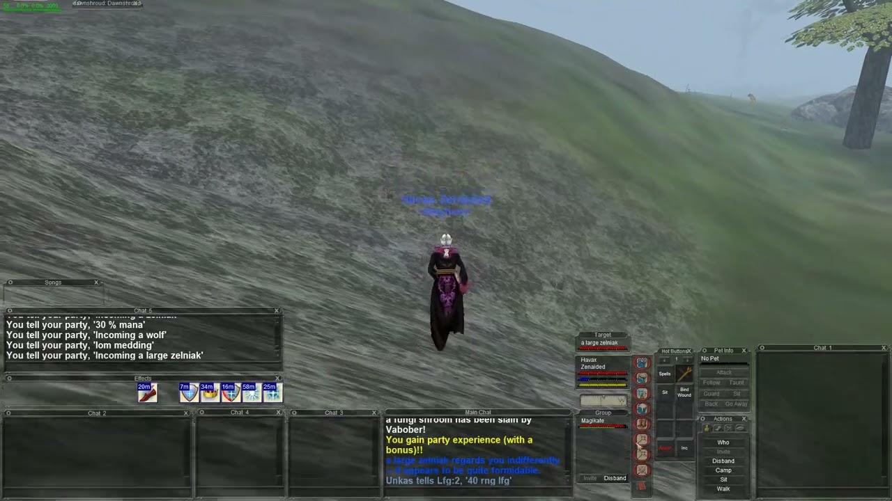 EverQuest Project Quarm, Dawnshroud Peaks, Magician & Enchanter Duo