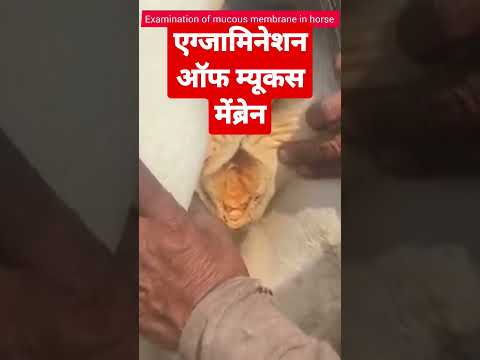 examination of mucous membrane l Dr Umar Khan