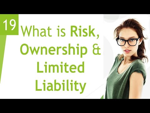 What is Risk, Ownership & Limited Liability - IGCSE Business Studies