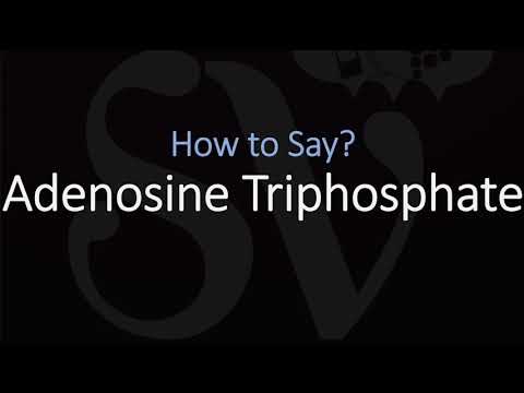 How to Pronounce Adenosine Triphosphate? (CORRECTLY)