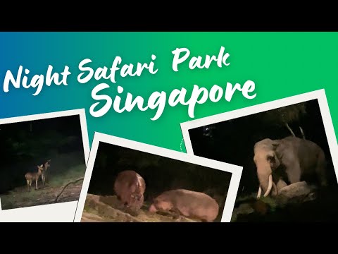 Night Safari Park | Singapore | Phygital Guru | Arun Sathyan
