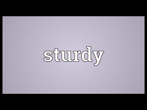 Sturdy Meaning