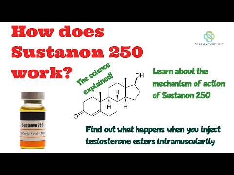 Sustanon Injection - Sustanon 250 Latest Price, Manufacturers & Suppliers