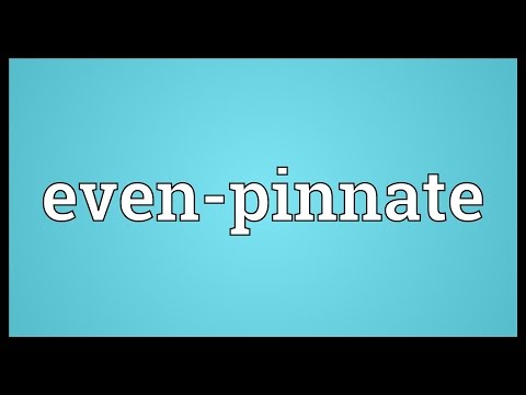 Even-pinnate Meaning
