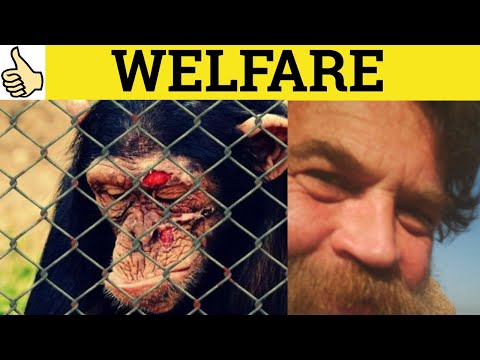 🔵 Welfare - Welfare Meaning - Welfare Examples - Welfare Definition