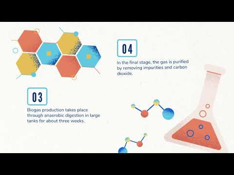 Biofuel Presentation