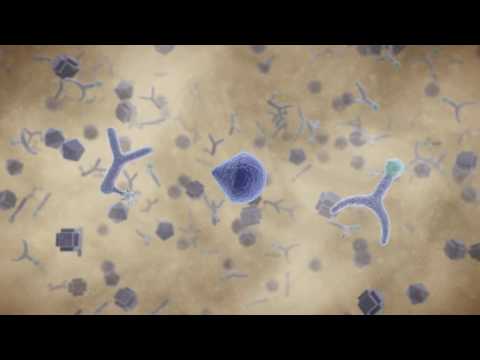 How Electrochemiluminescence (ECL) Works