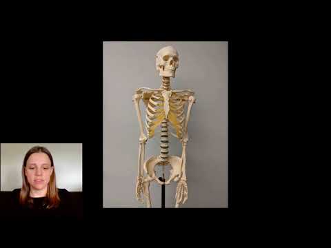 Medial vs Lateral vs Intermediate