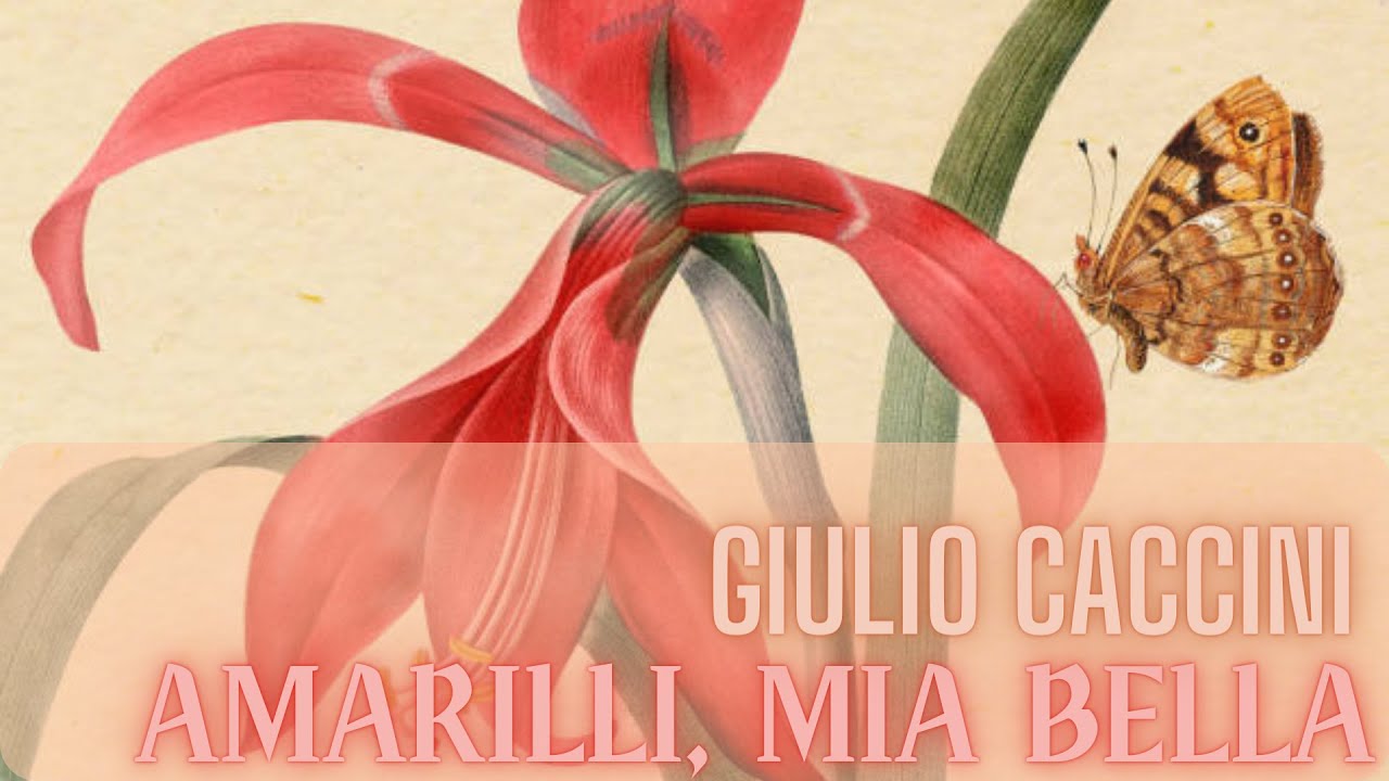 AMARILLI , MIA BELLA by Giulio Caccini - Giulia Miscioscia, soprano & Pietro Prosser, liuto (LIVE)