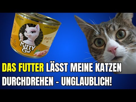 Kitty Cat - Meine Katzen drehen durch: Der Geschmackstest für DAS Futter!