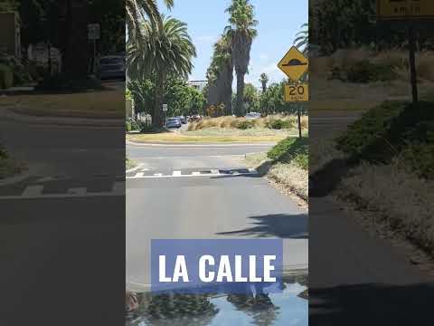 How to say STREET in Spanish? #shorts