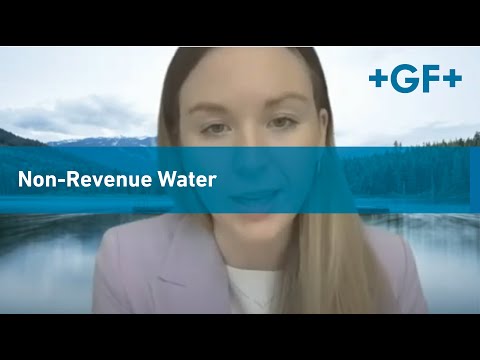 What is non-revenue water?