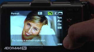 Olympus TCON-T01 Teleconverter Lens for TG-1 & TG-2 V321180BW000