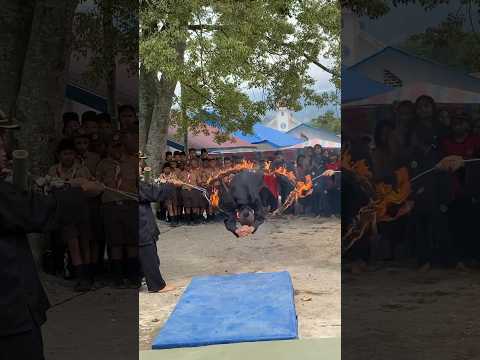 Lompat lingkaran api #shorts #amazing