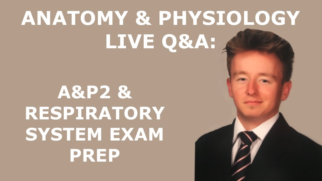 Anatomy & Physiology LIVE Q&A: Respiratory System Exam Prep