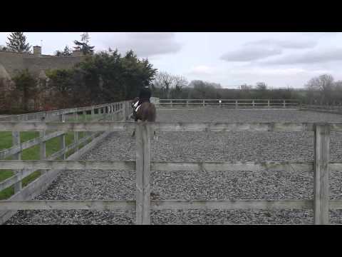 Ellie Hunters Dressage CCI***