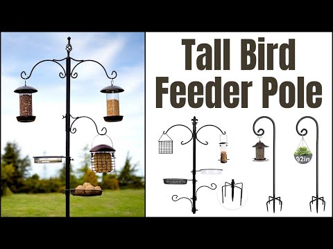 Best Tall Bird Feeder Pole Review