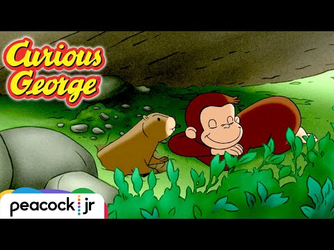 A Different Day for Groundhogs | CURIOUS GEORGE