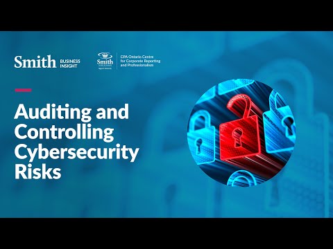 Auditing and Controlling Cybersecurity Risks