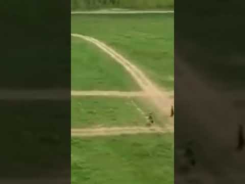 Beautiful Afghanistan Video